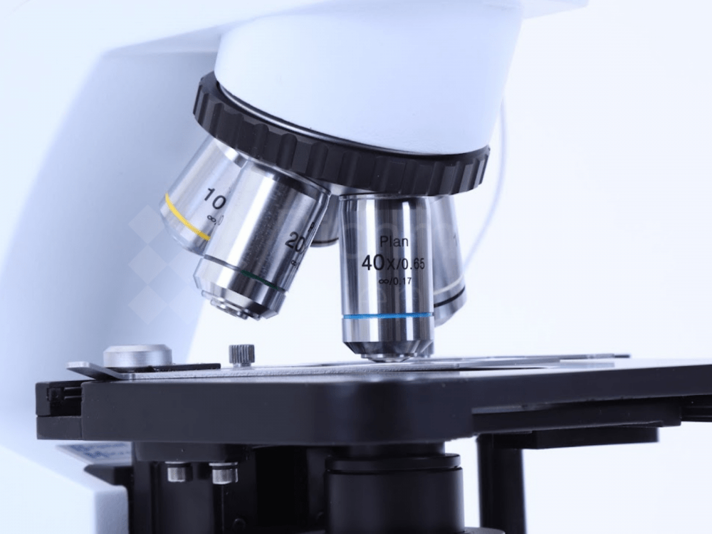 布鲁内尔SP350布莱特菲尔德和相位对比显微镜-里士满科学欧宝体育足球 - 欧宝娱乐app官方登录