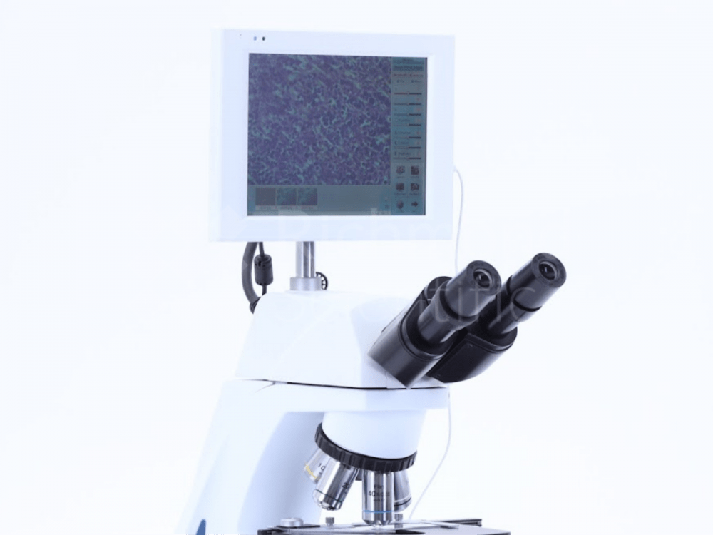 布鲁内尔SP350布莱特菲尔德和相位对比显微镜-里士满科学欧宝体育足球 - 欧宝娱乐app官方登录